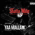 DOWNLOAD MP3 : Shatta Wale – Yaa Mallam | GhanaSongs.com